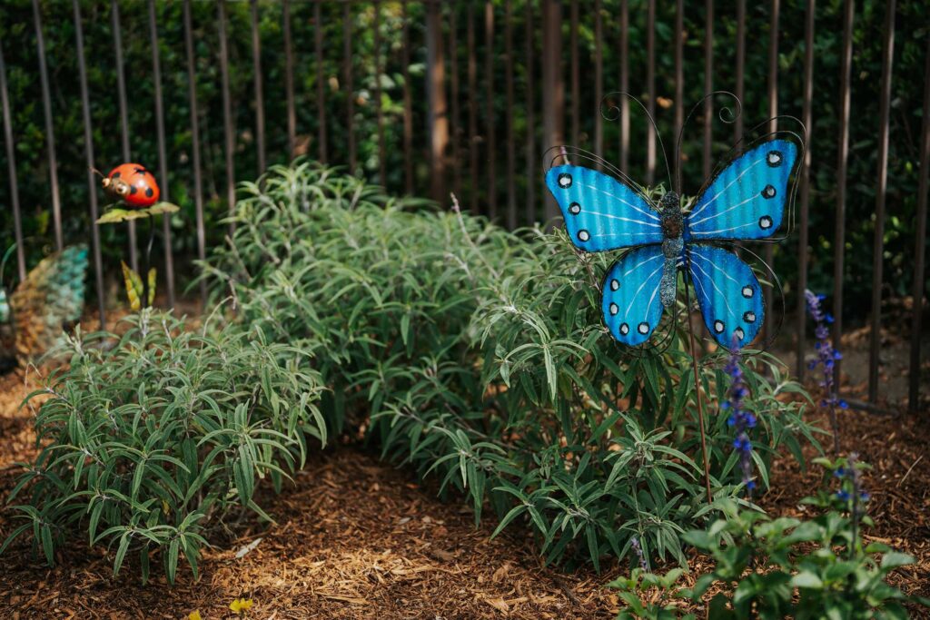 Parent Resources – North Coast Church Preschool